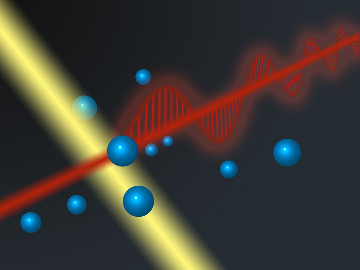 Quanten-Sprünge zwischen Top-Universitäten | TU Wien