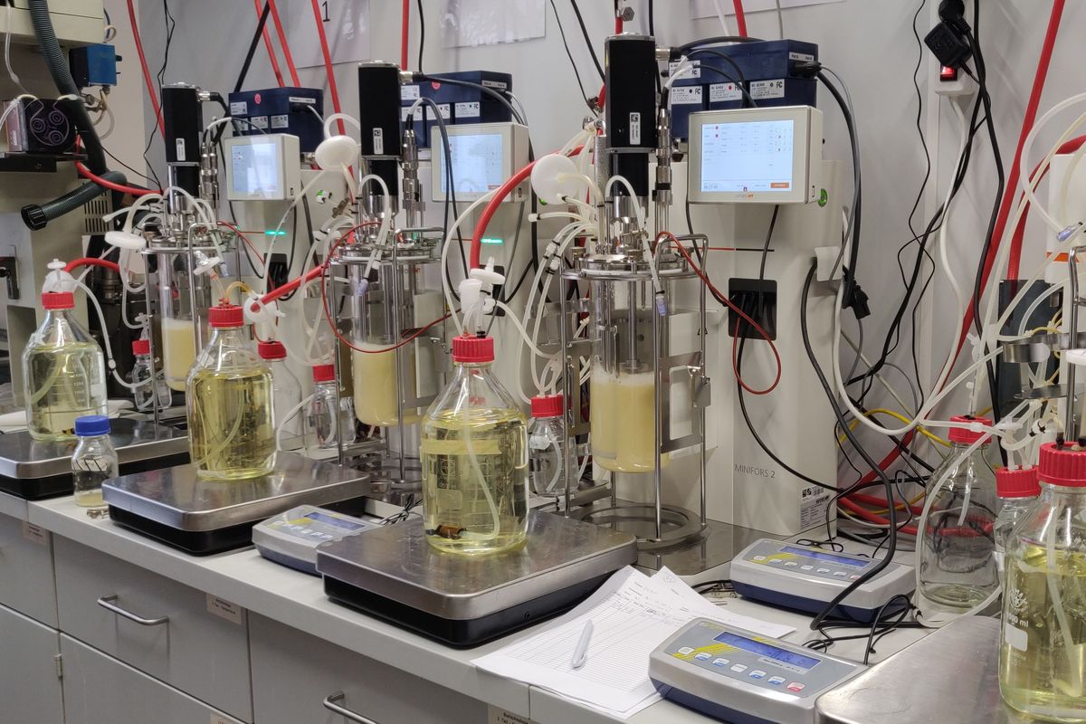 Biolabor statt Krenwurzel | TU Wien